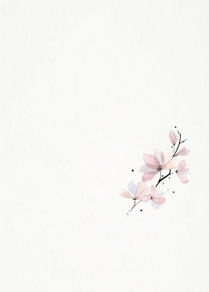 Pink Magnolia- Sample Set – Collins Debden UK